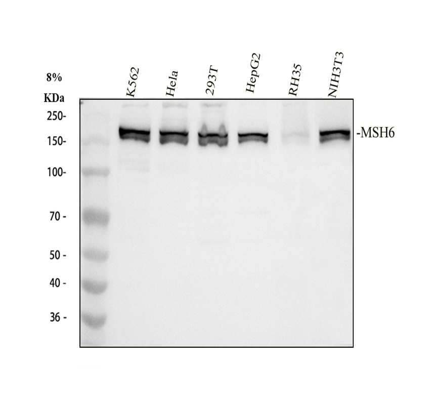 博士德生物 BOSTER Biological Technology co.ltd | 1993-2025